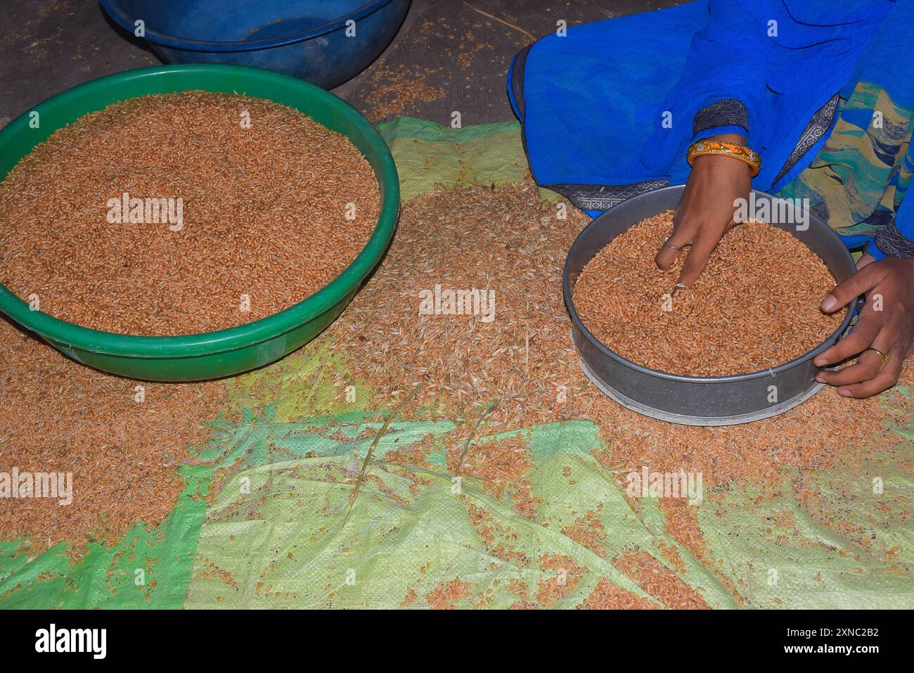 Sifting grain through sieve hi-res stock photography and images - Alamy