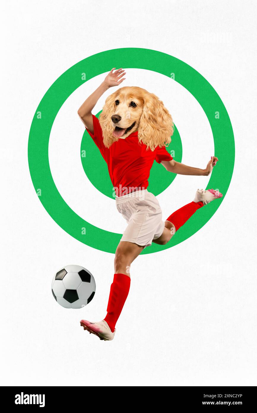 Contemporary art collage. Football player with head of Cocker spaniel ...