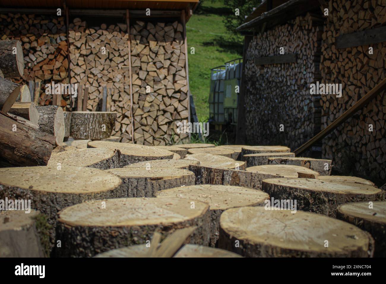 Cutted wood hi-res stock photography and images - Alamy