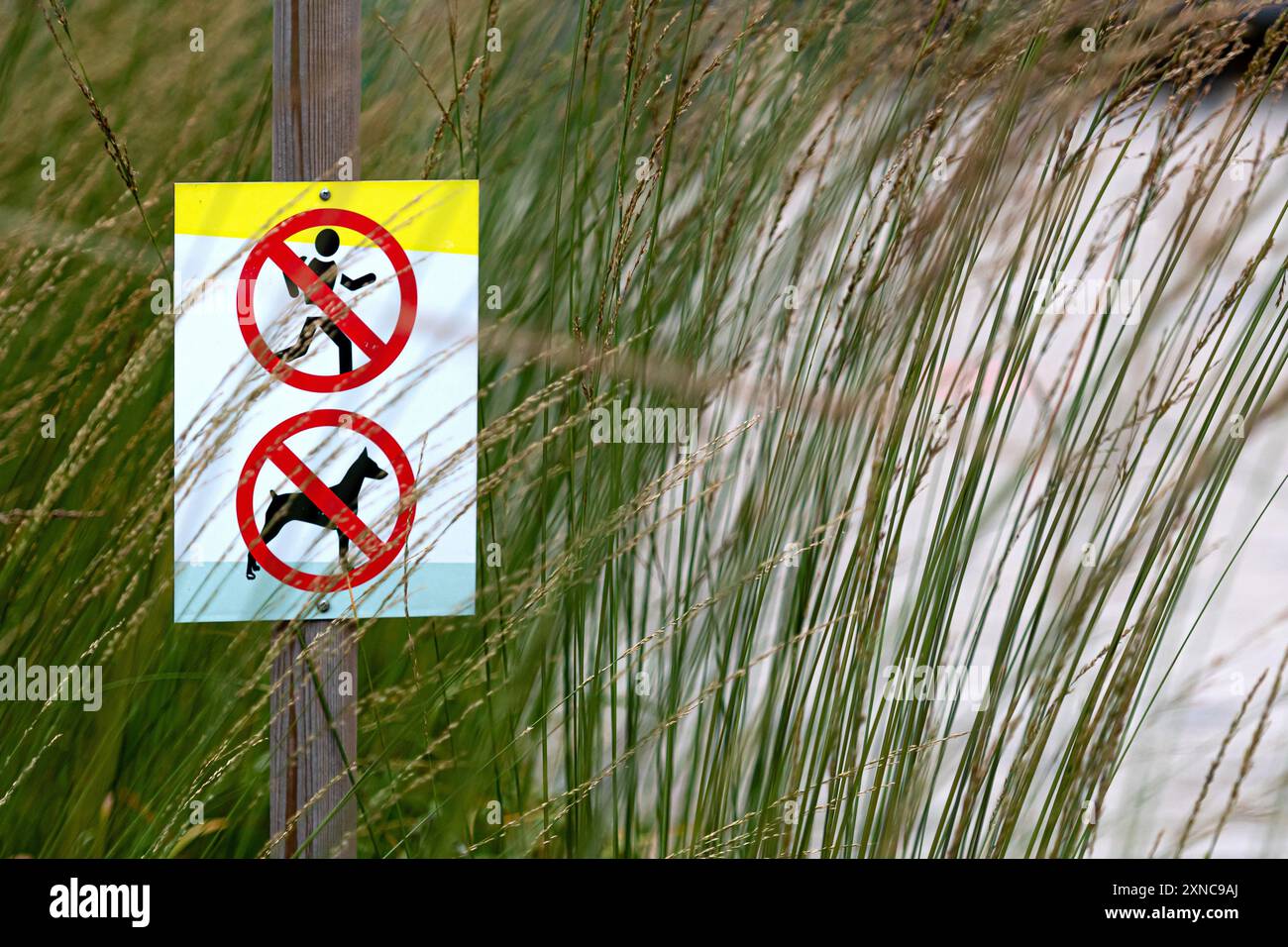 Sign prohibiting walking and dog walking along the water's edge Stock ...