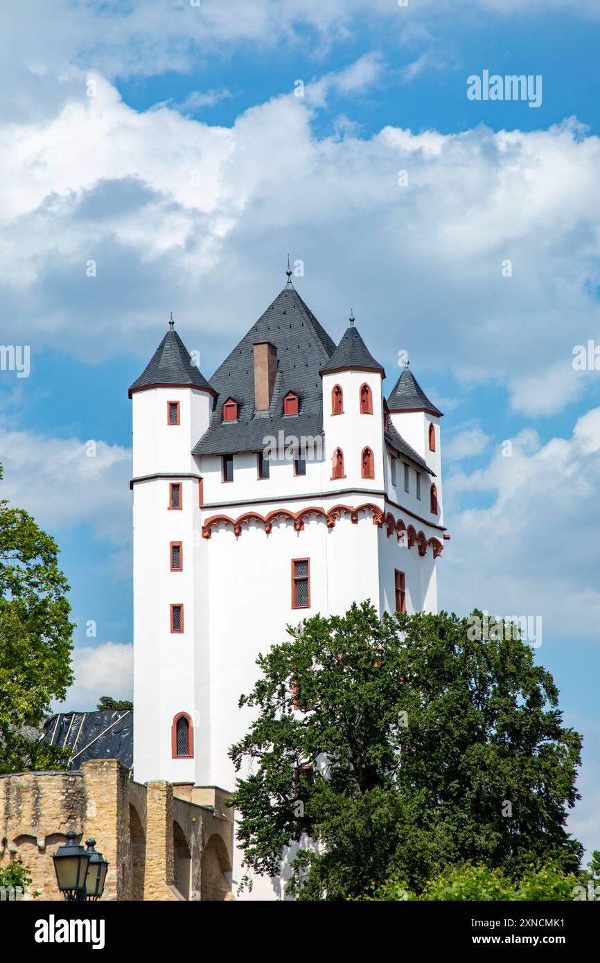 famous castle in Eltville in the Rheingau area in Germany Stock Photo ...
