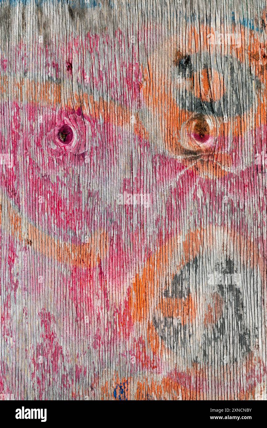 detail of grunge grunge old color background at a rotten wooden wall ...