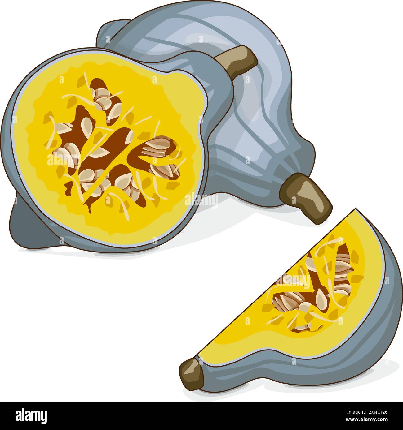 Whole and chopped Blue hubbard squash. Winter squash. Cucurbita maxima ...