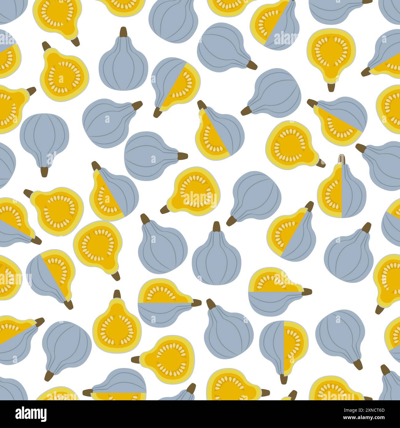 Seamless pattern with Blue hubbard squash. Winter squash. Fruit and ...