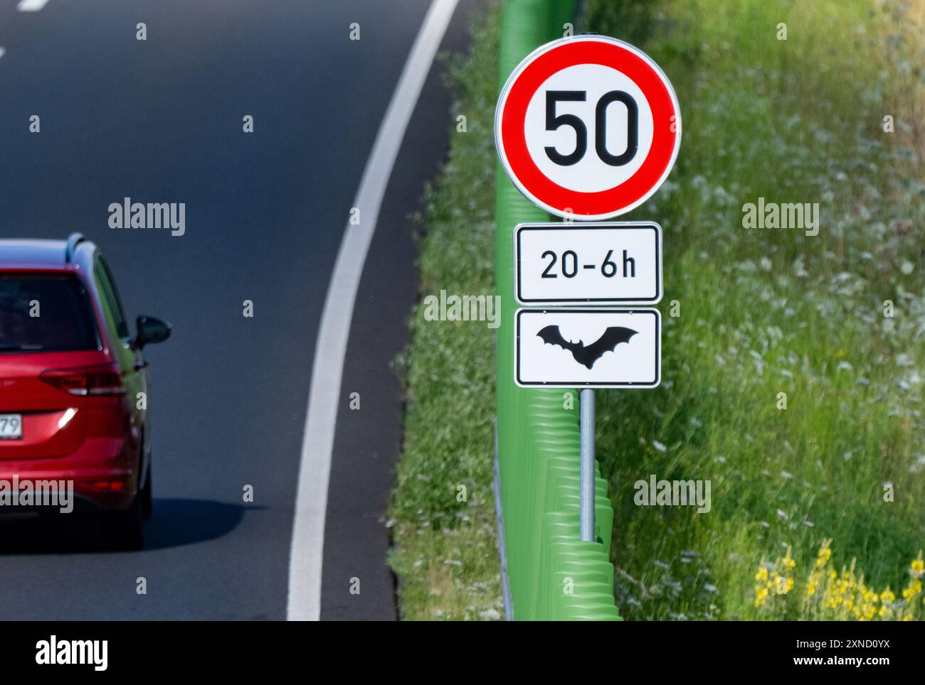 PRODUCTION - 22 July 2024, Mecklenburg-Western Pomerania, Bergen ...