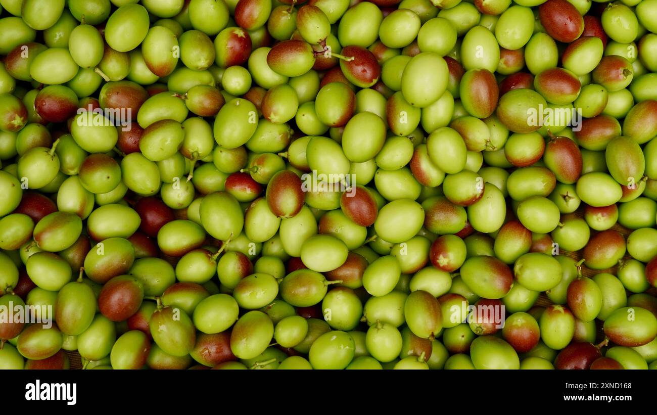 Karonda fruit on fruit. Bengal-currant or Carandas-plum , carissa ...