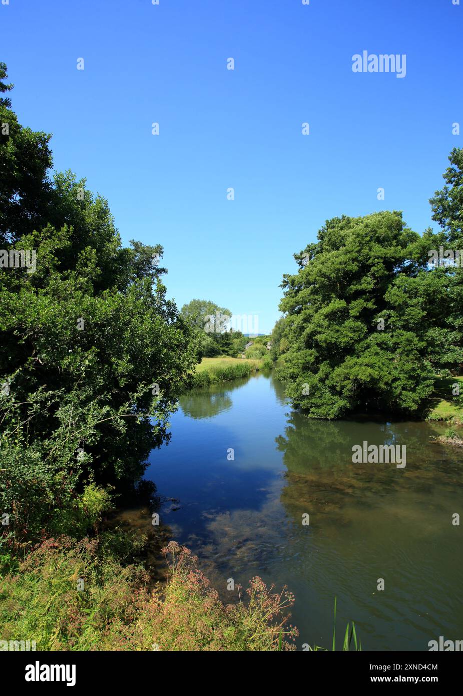 The river Teme at Leintwardine, Craven arms, Herefordshire, England, UK ...