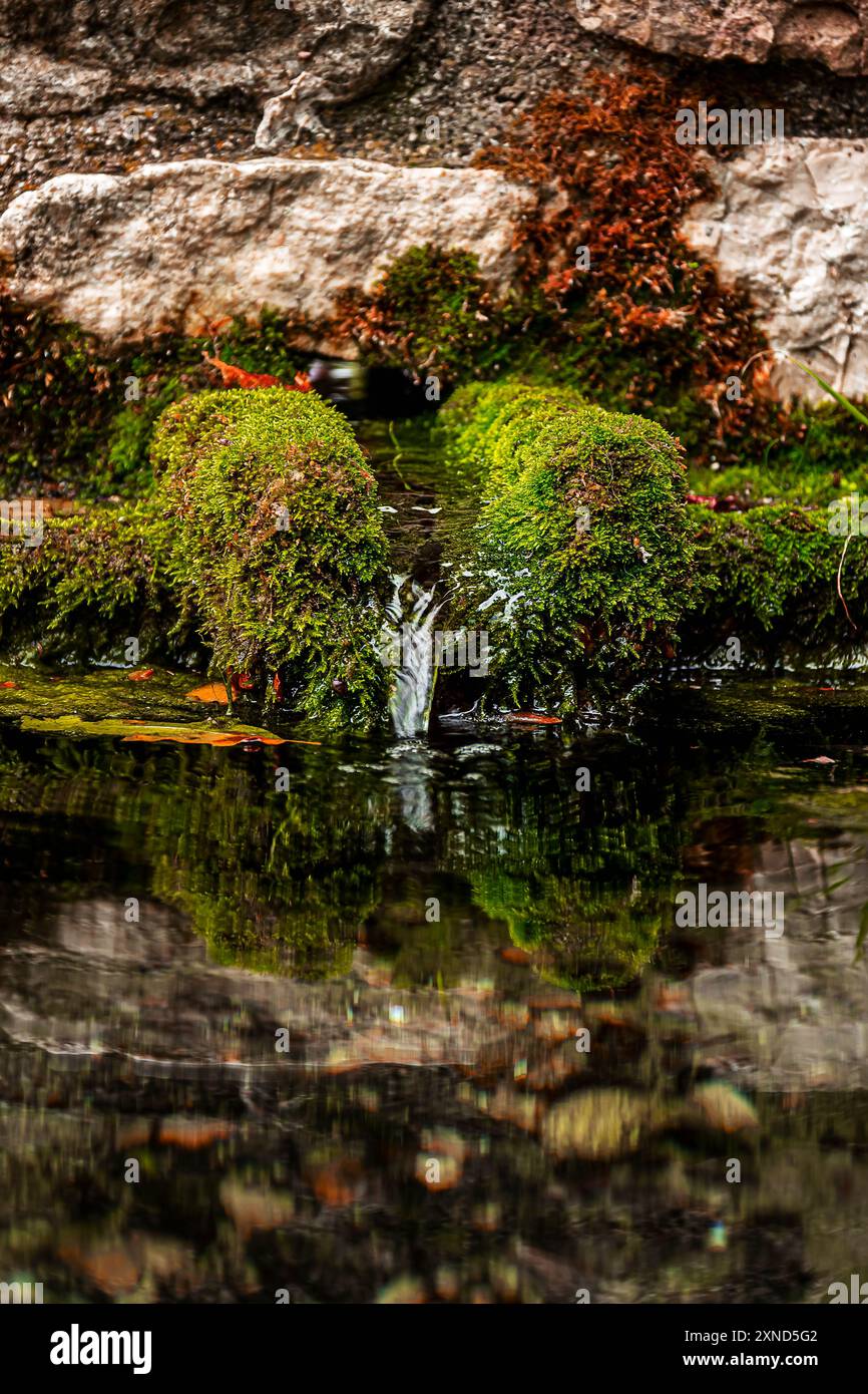 a source of water reaches the basin of a fountain Stock Photo - Alamy