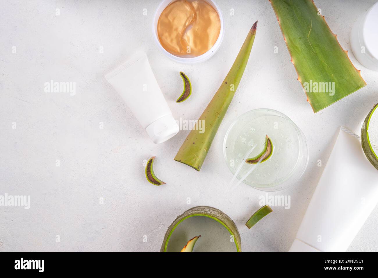 Aloe vera skincare beauty care flat lay. Various bottles, jars set with ...