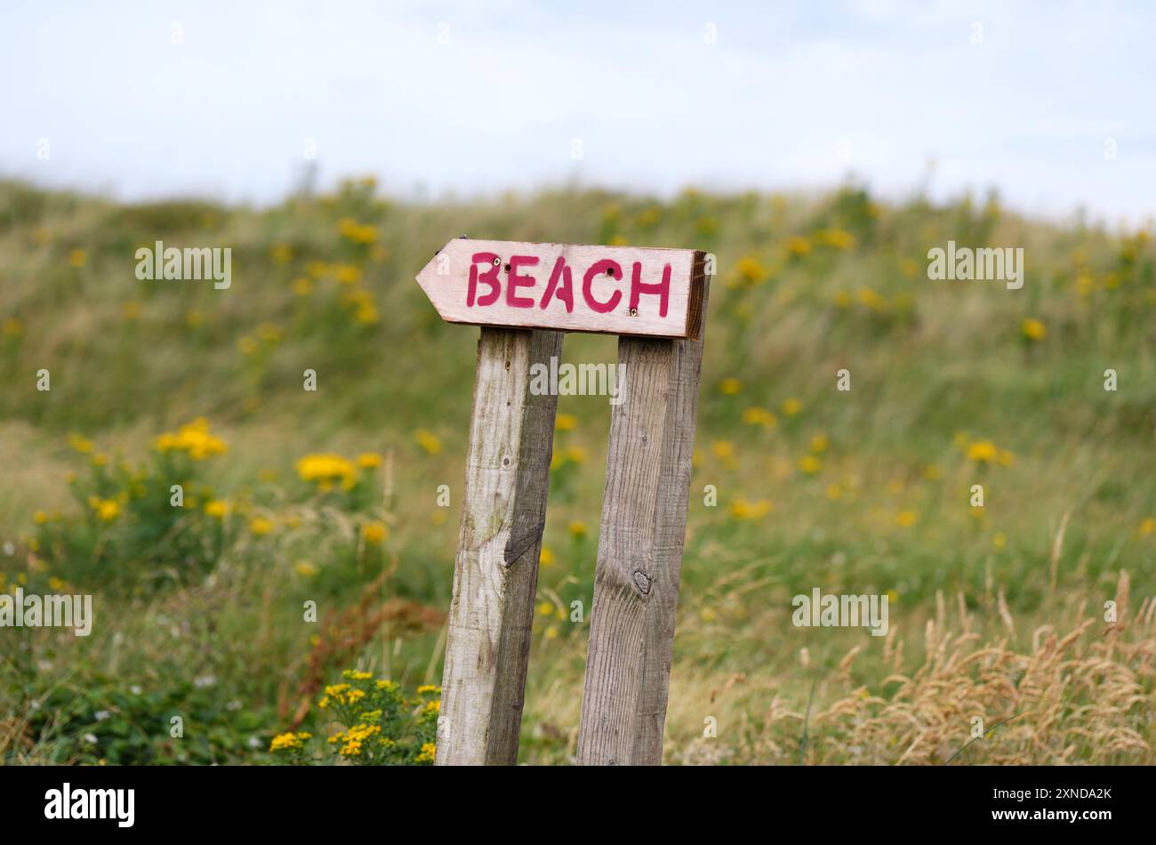 Beach this way sign Stock Photo - Alamy