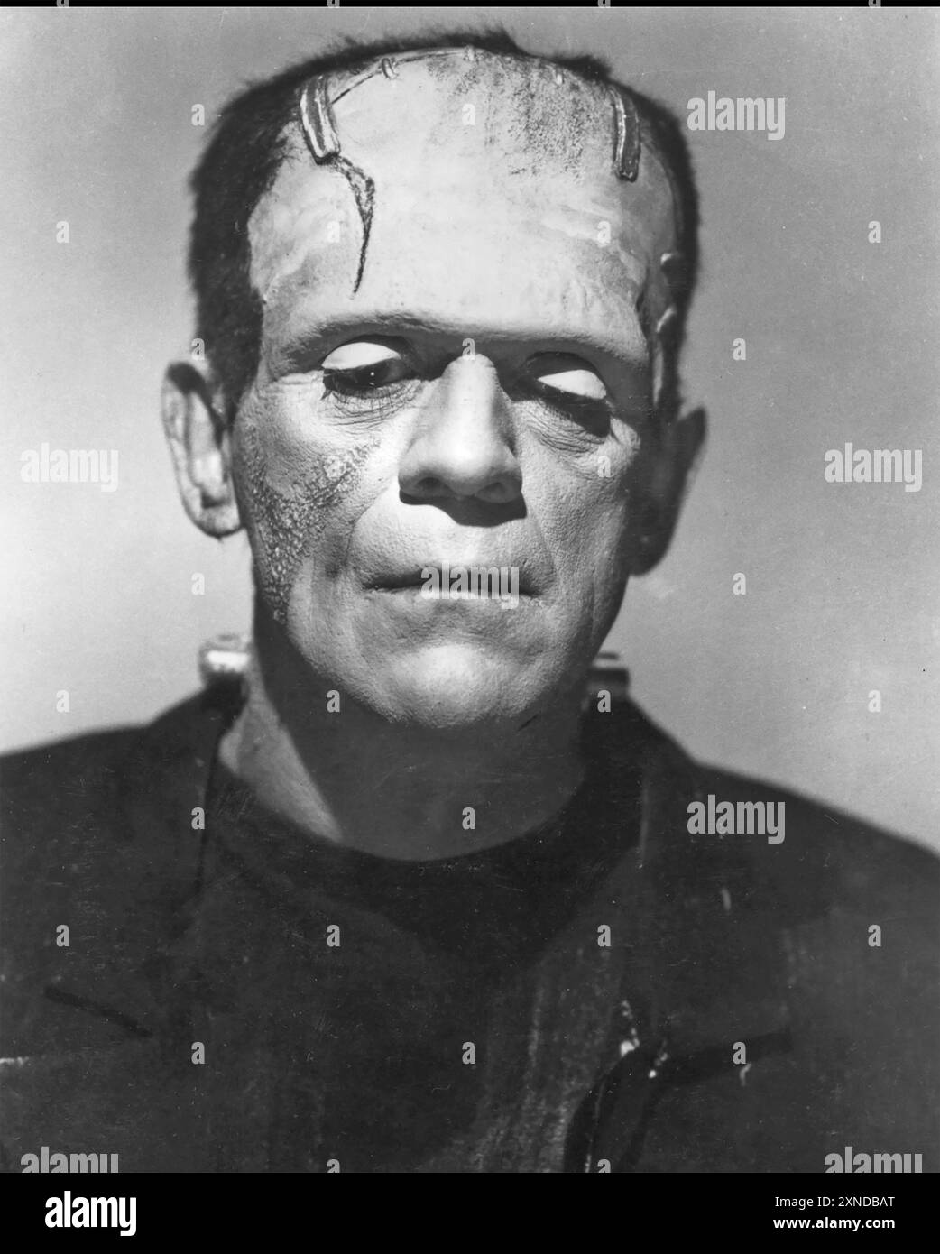 BRIDE OF FRANKENSTEIN 1935 Universal Pictures film with Boris Karloff ...