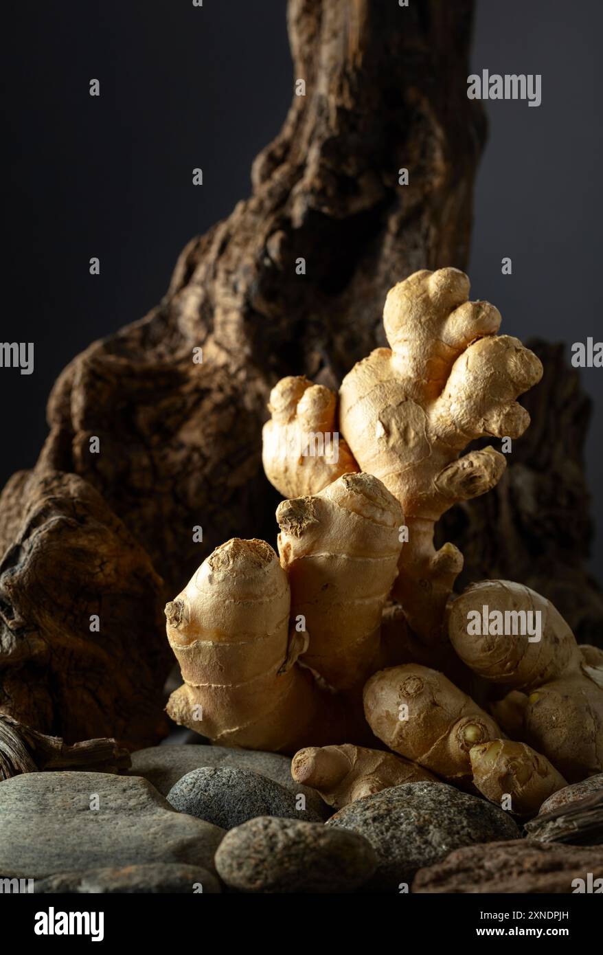 Fresh ginger root with old snags and stones on a black background ...