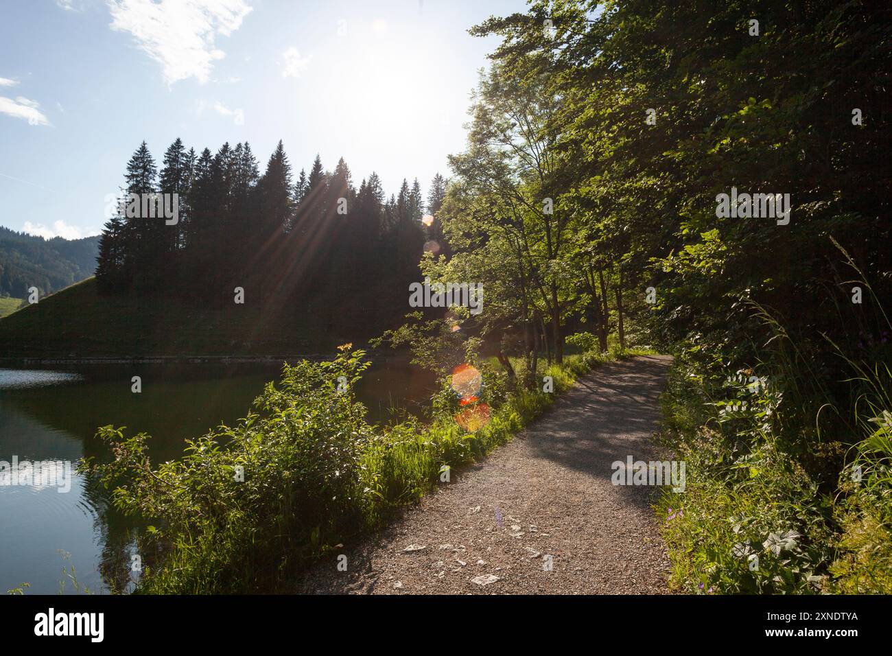Lake Spitzingsee, Brecherspitze mountain in summertime Bavaria, Germany ...