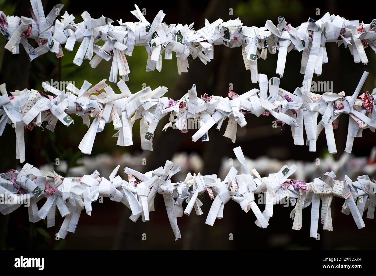 A collection of sheets of paper suspended on a string line wishing ...