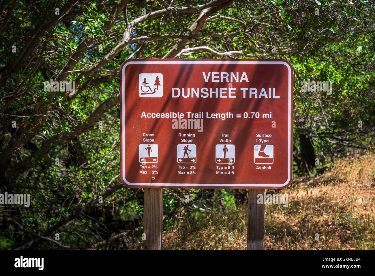 Verna Dunshee Trail at Mount Tamalpais State Park, California USA Stock ...