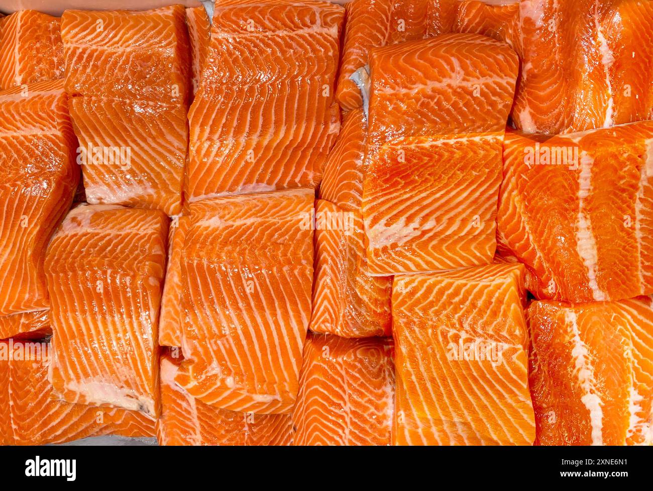 Fresh barracuda fish market hi-res stock photography and images - Alamy