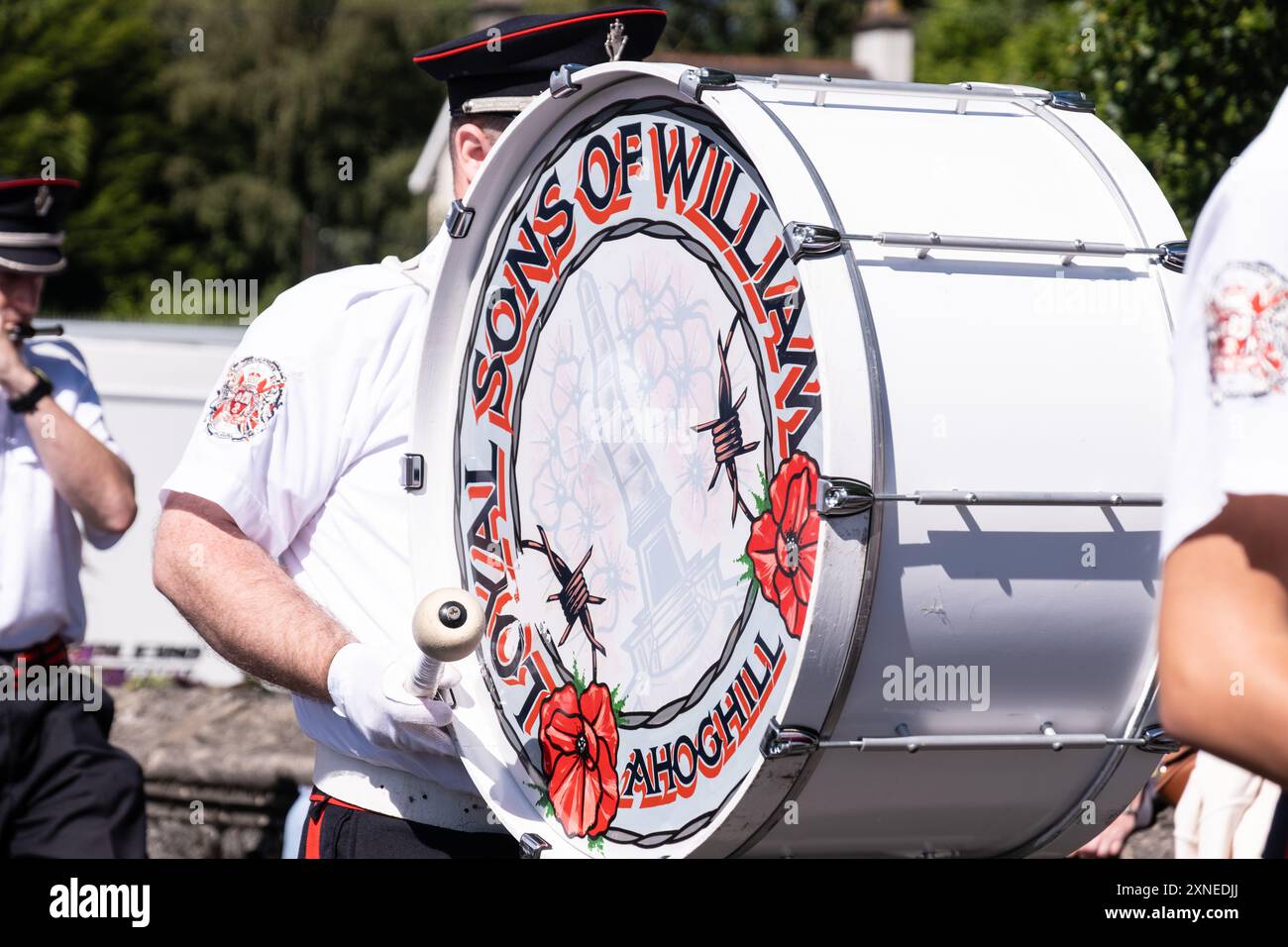 Loyal sons of william hi-res stock photography and images - Alamy