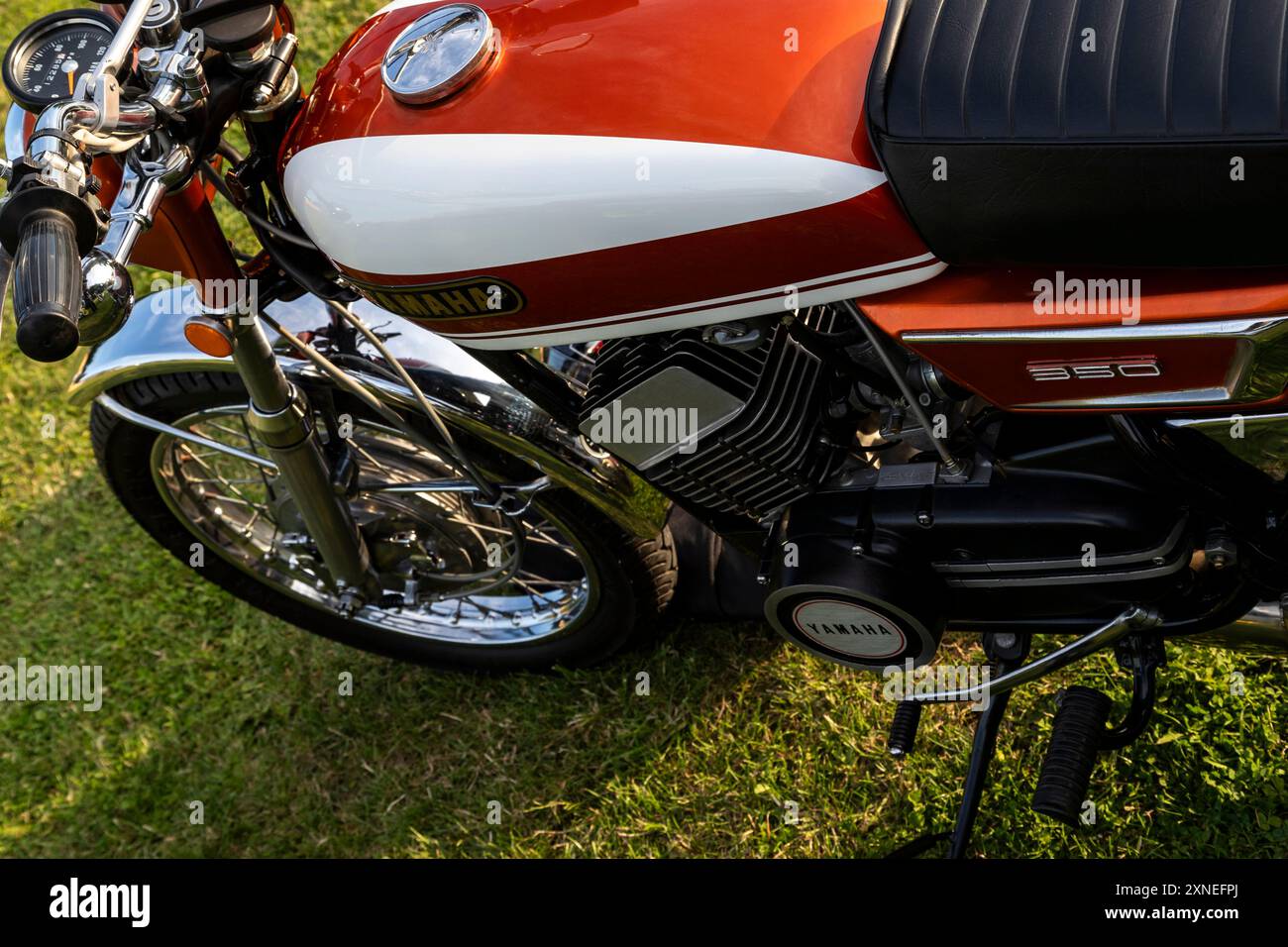Silver fox cafe hi-res stock photography and images - Alamy