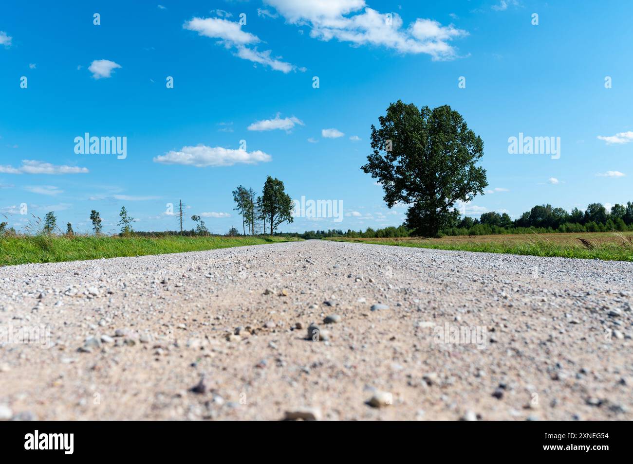 International Off-Road Day, NATIONAL ROAD TRIP DAY, Dusty Road, Fields ...