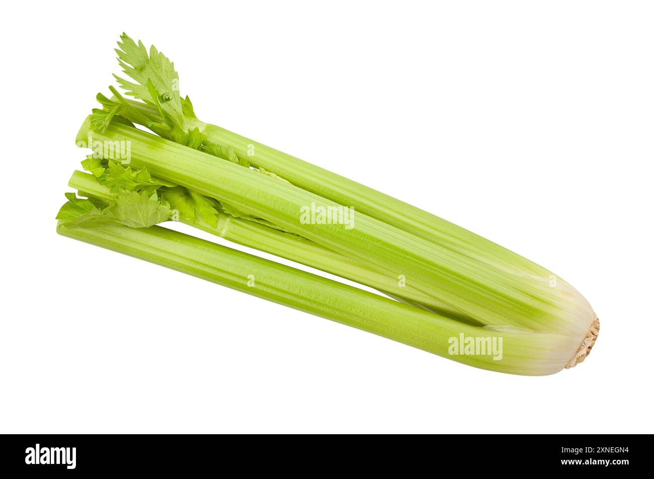 Stalk celery hi-res stock photography and images - Alamy