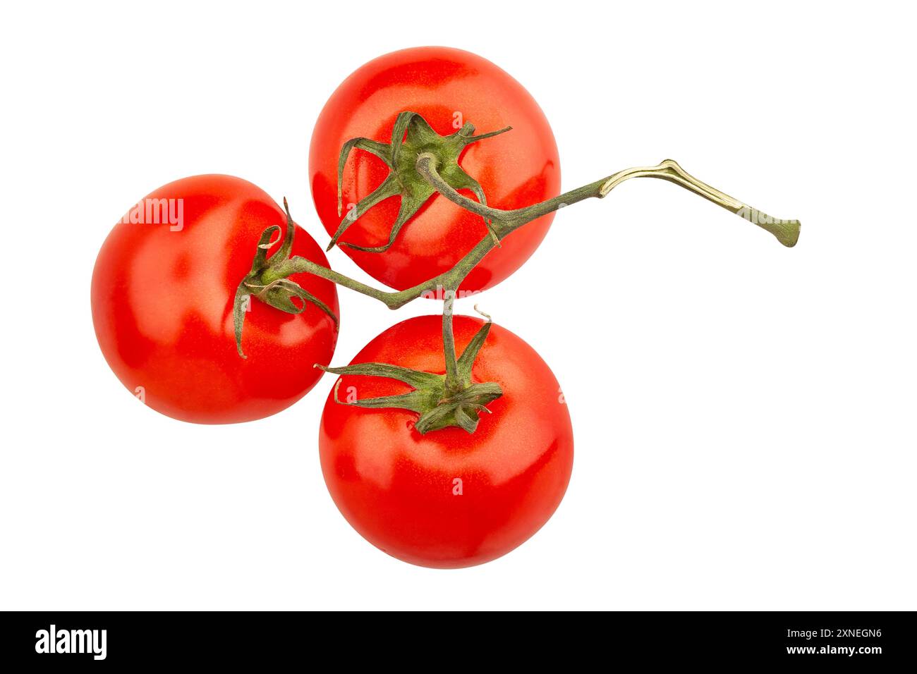 tomato branch path isolated on white Stock Photo - Alamy