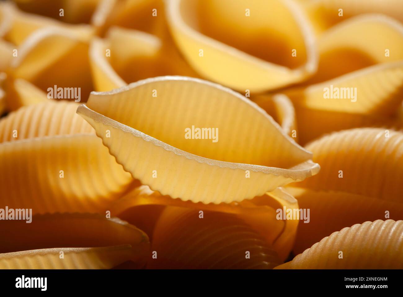 Conchiglie hi-res stock photography and images - Alamy
