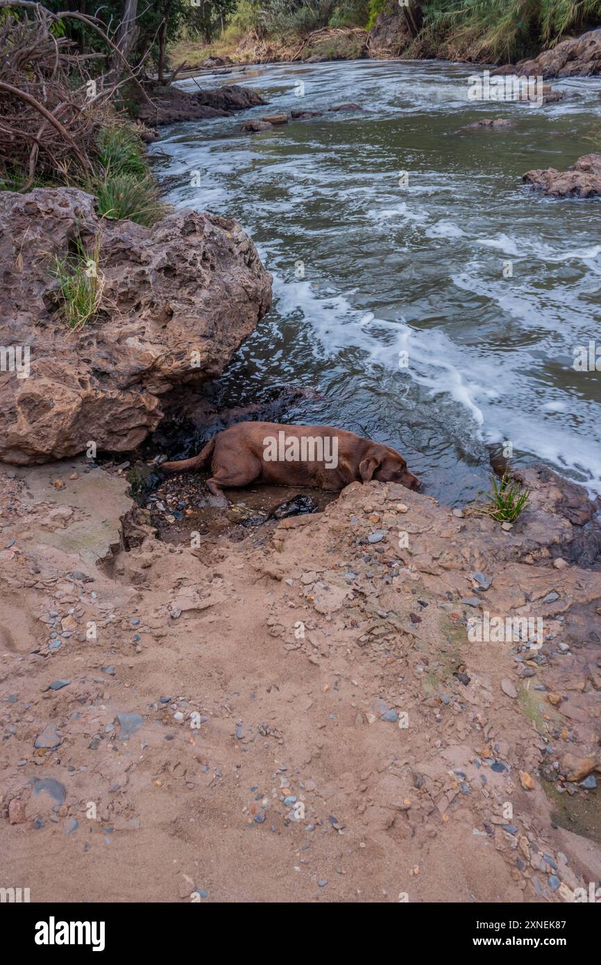 Hennops river hi-res stock photography and images - Alamy