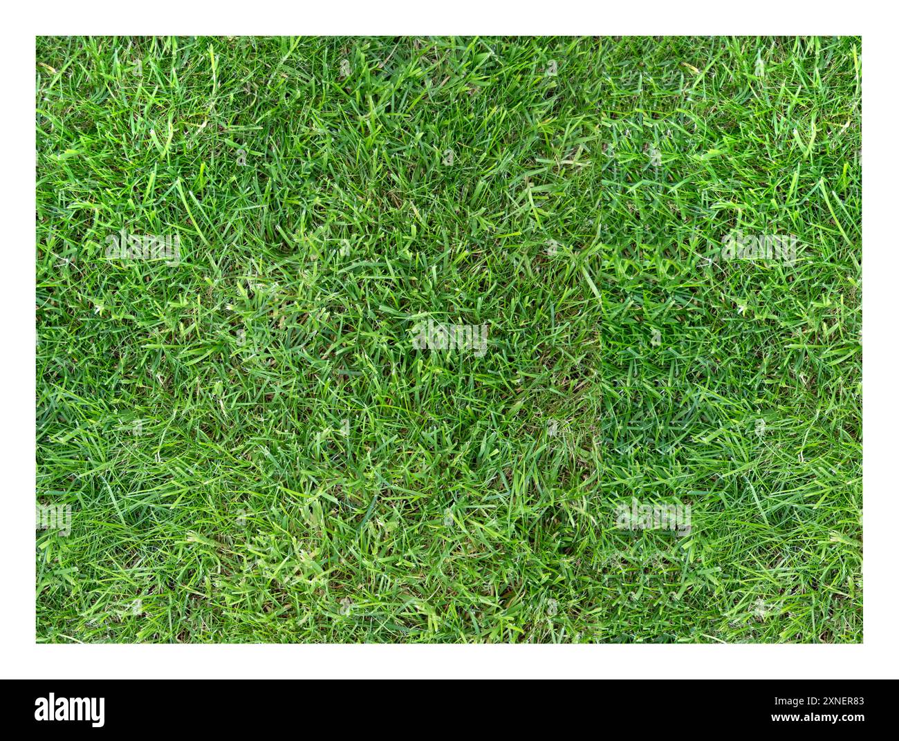 Symbol Map of the State Colorado (United States of America) showing the ...