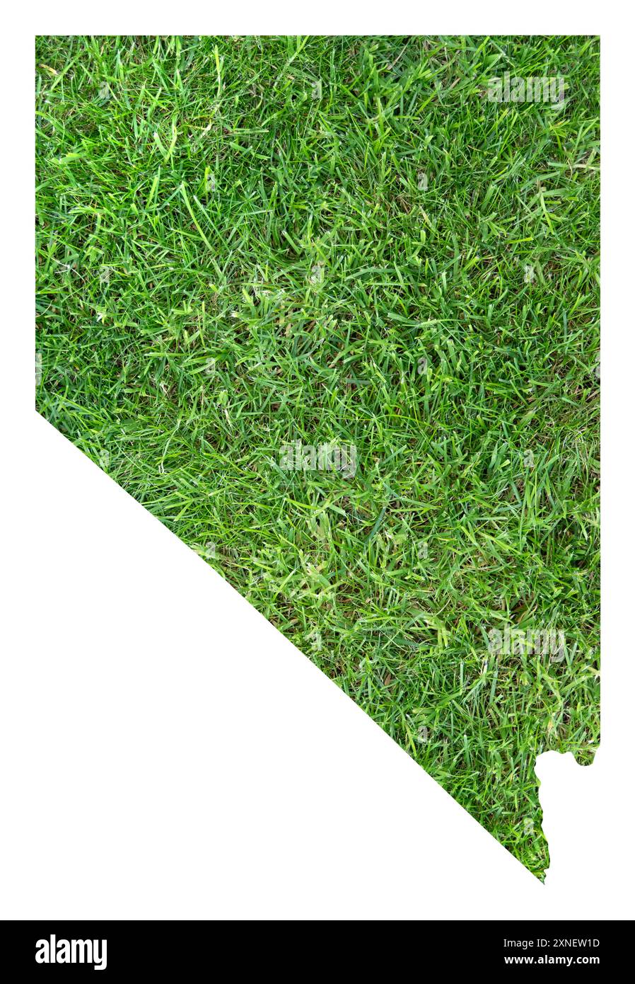 Symbol Map of the State Nevada (United States of America) showing the ...