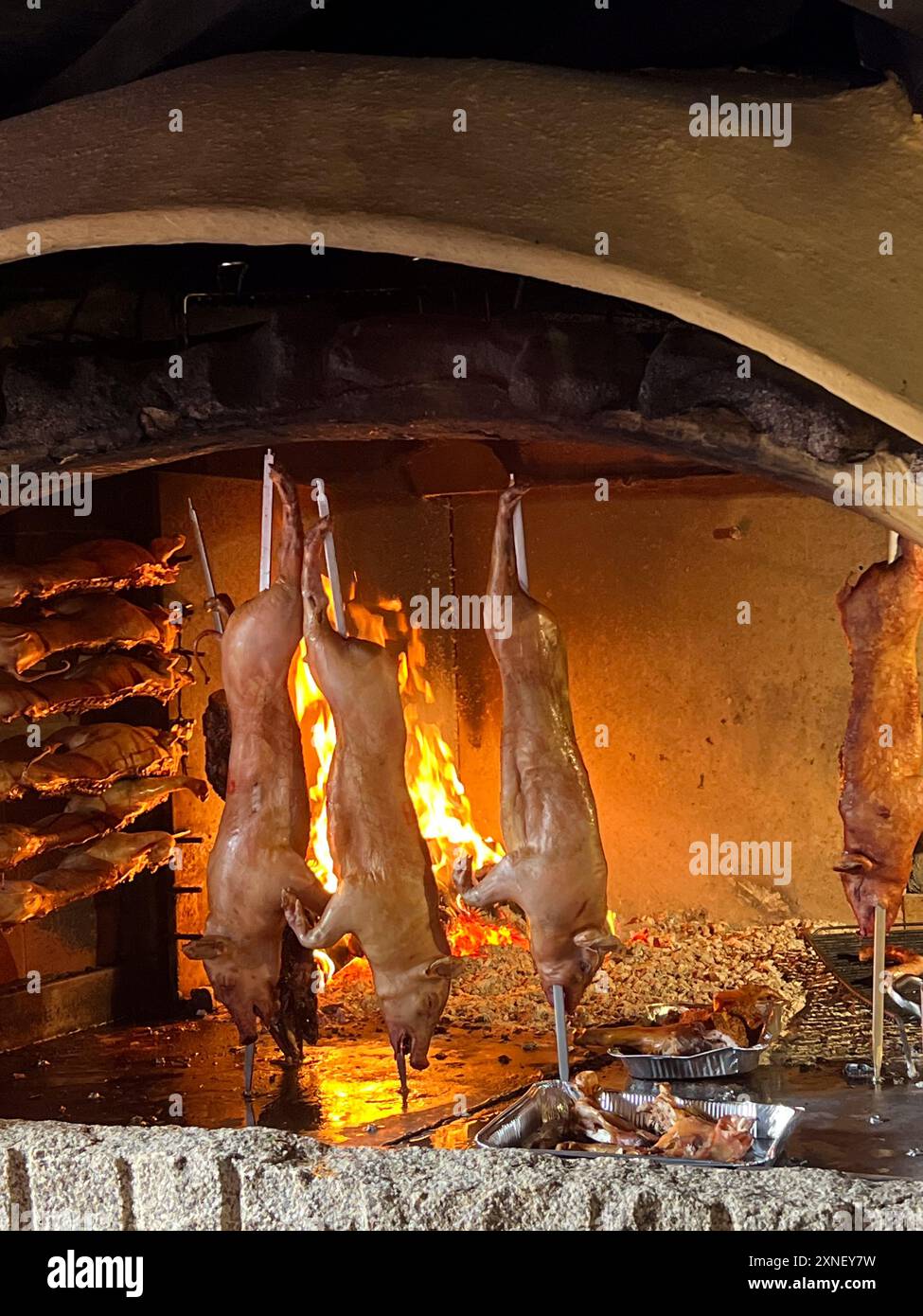 Porchetta with embers in the background, a typical pork dish from the ...