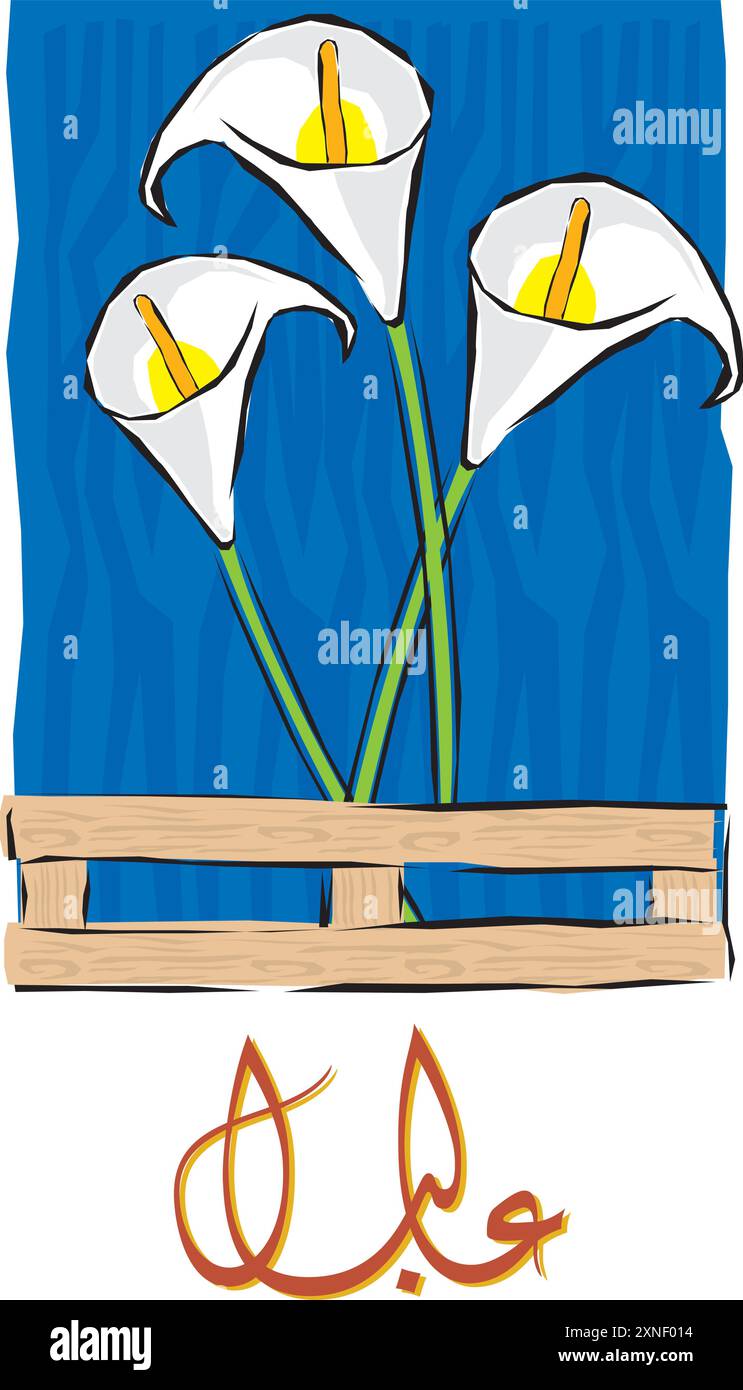 Two calla lilies Stock Vector Images - Alamy