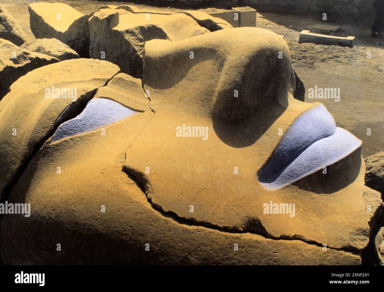 Egypt. Luxor. Head of a fallen statue in the Luxor Temple. Hand ...
