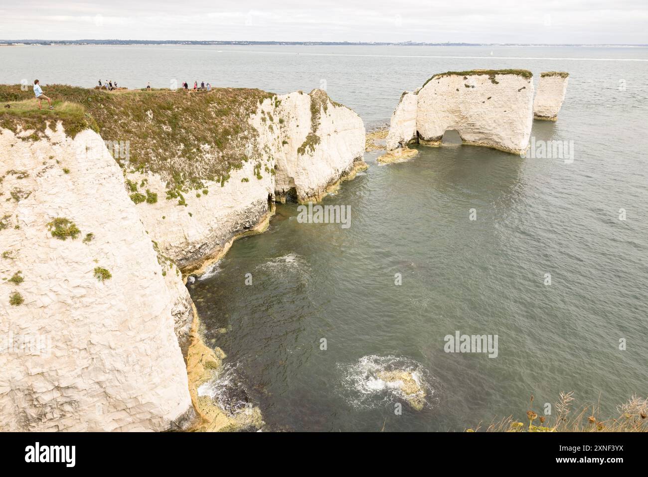 DORSET, UK - September 13, 2023. Old Harry Rocks. Chalk cliffs on the ...
