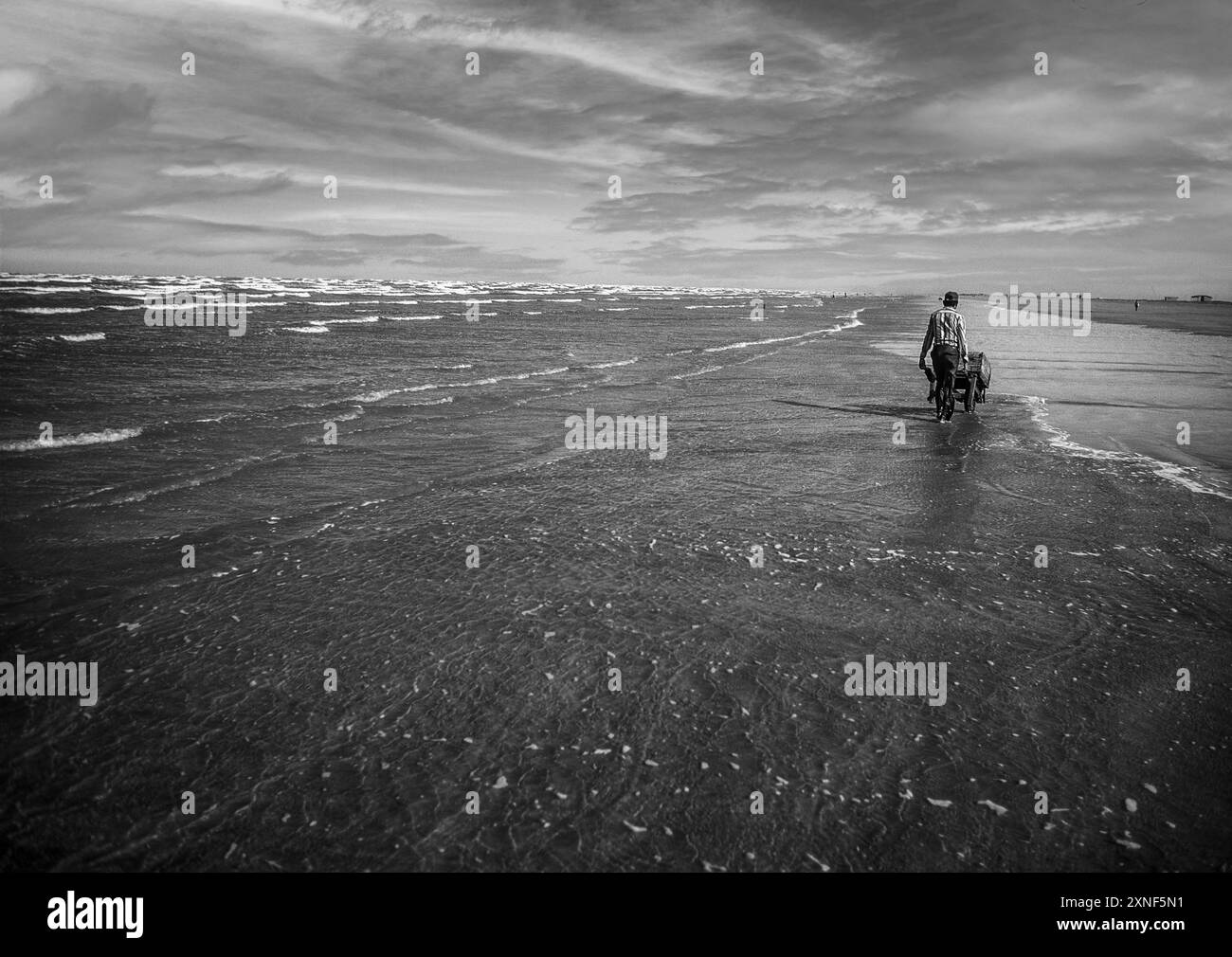 Man carrying seashells on a wheelbarrow on the shore of the Maracaibo ...