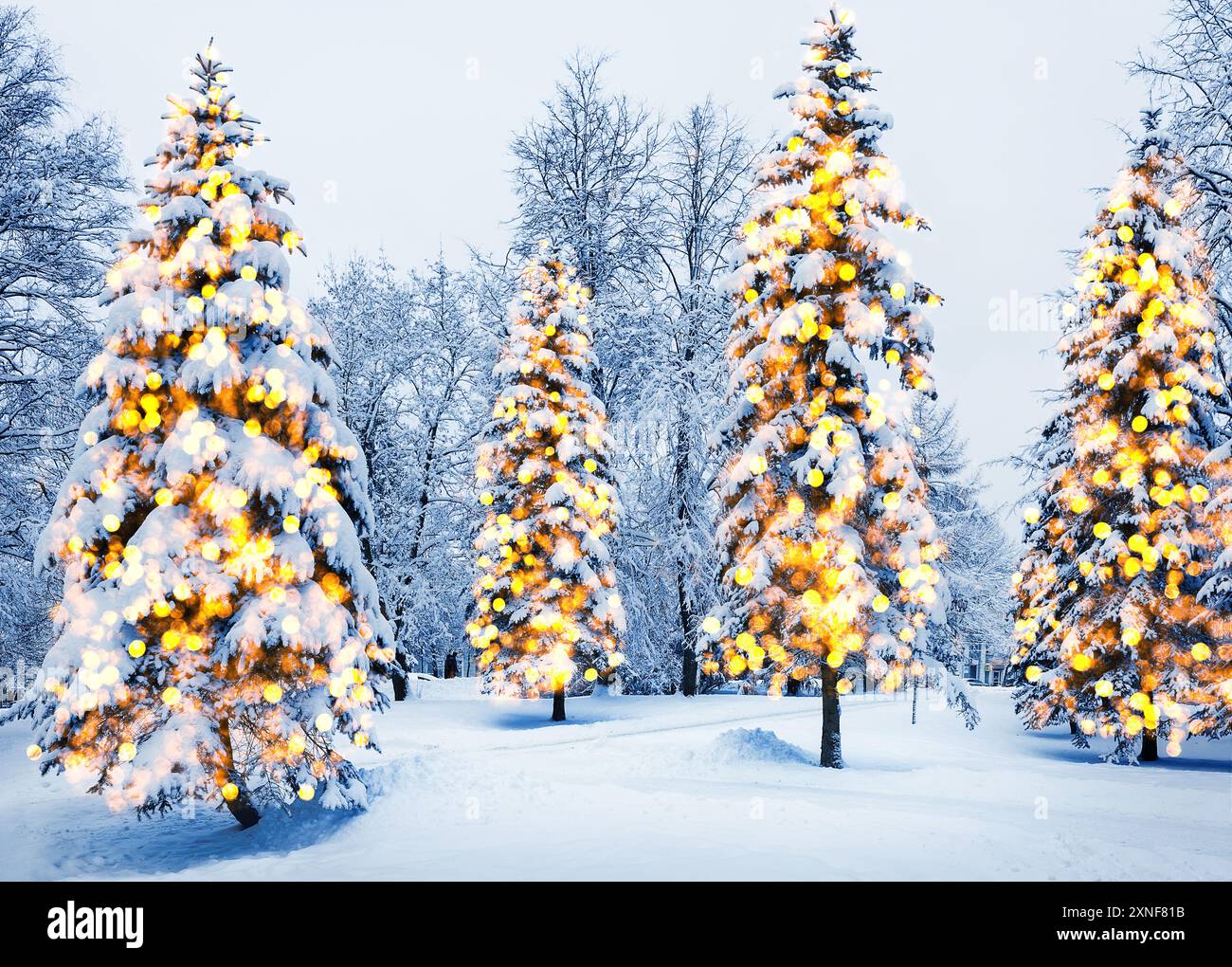 Holiday Scene Background