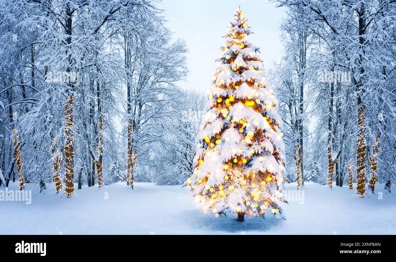 Christmas fir tree in winter forest, scene with sunlight. Christmas ...