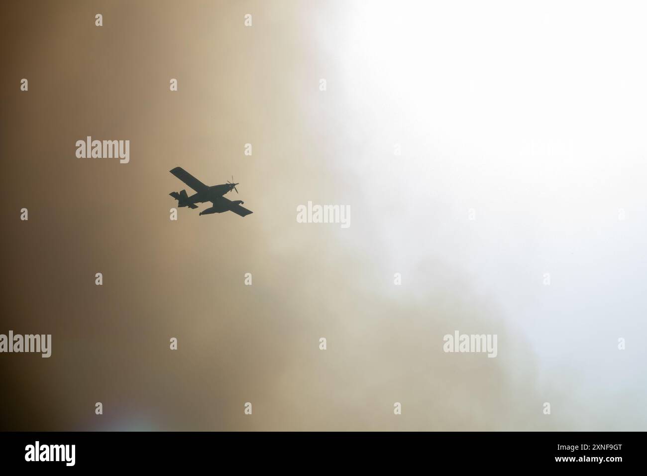 Firefighting plane flying into a large smoke cloud caused by a forest ...