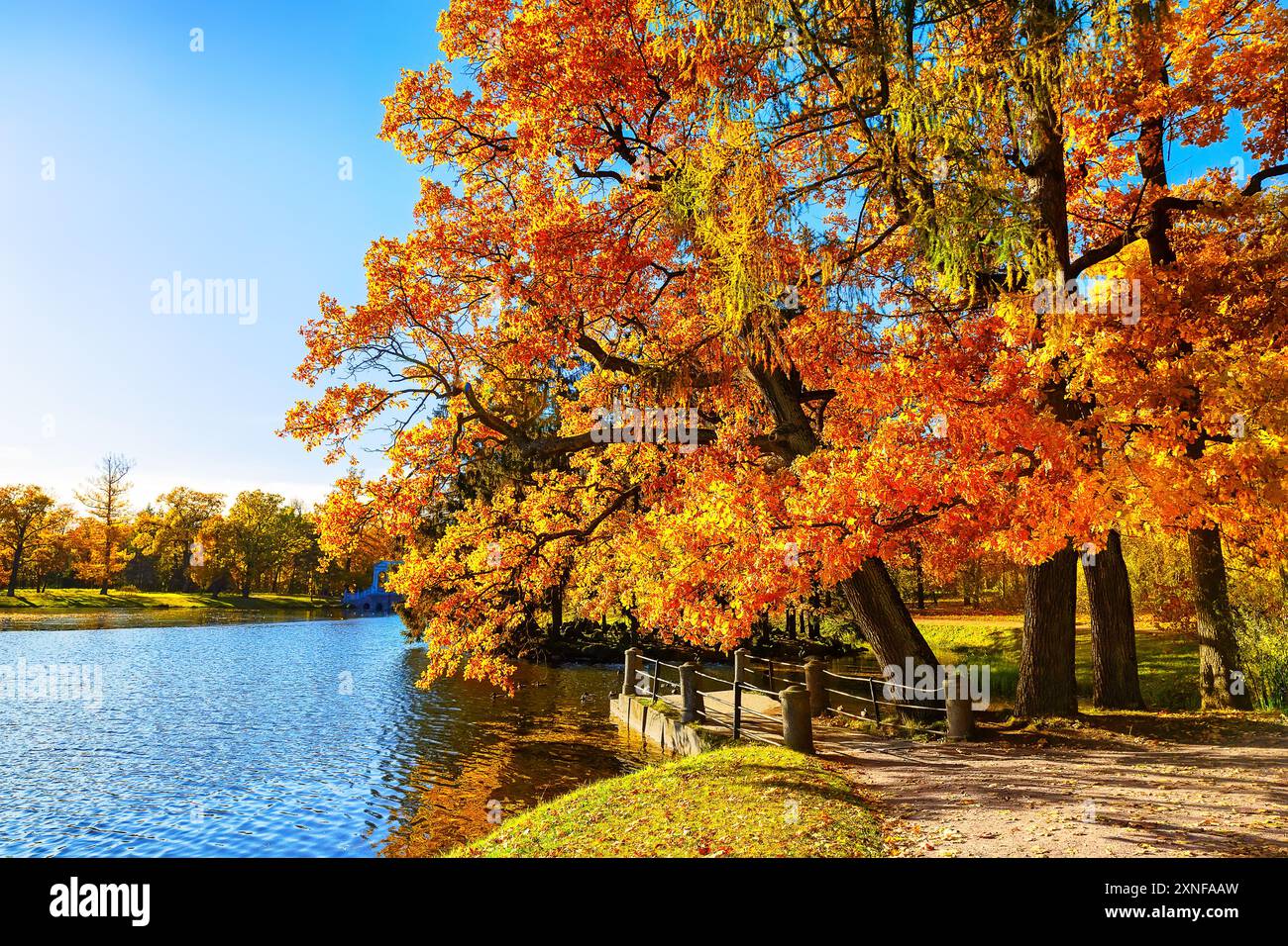 Autumn forest road and forest river landscape. Autumn park with river ...