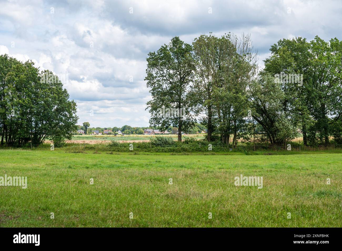 Green agriculture fields and meadows at the Groote Heide nature reserve ...