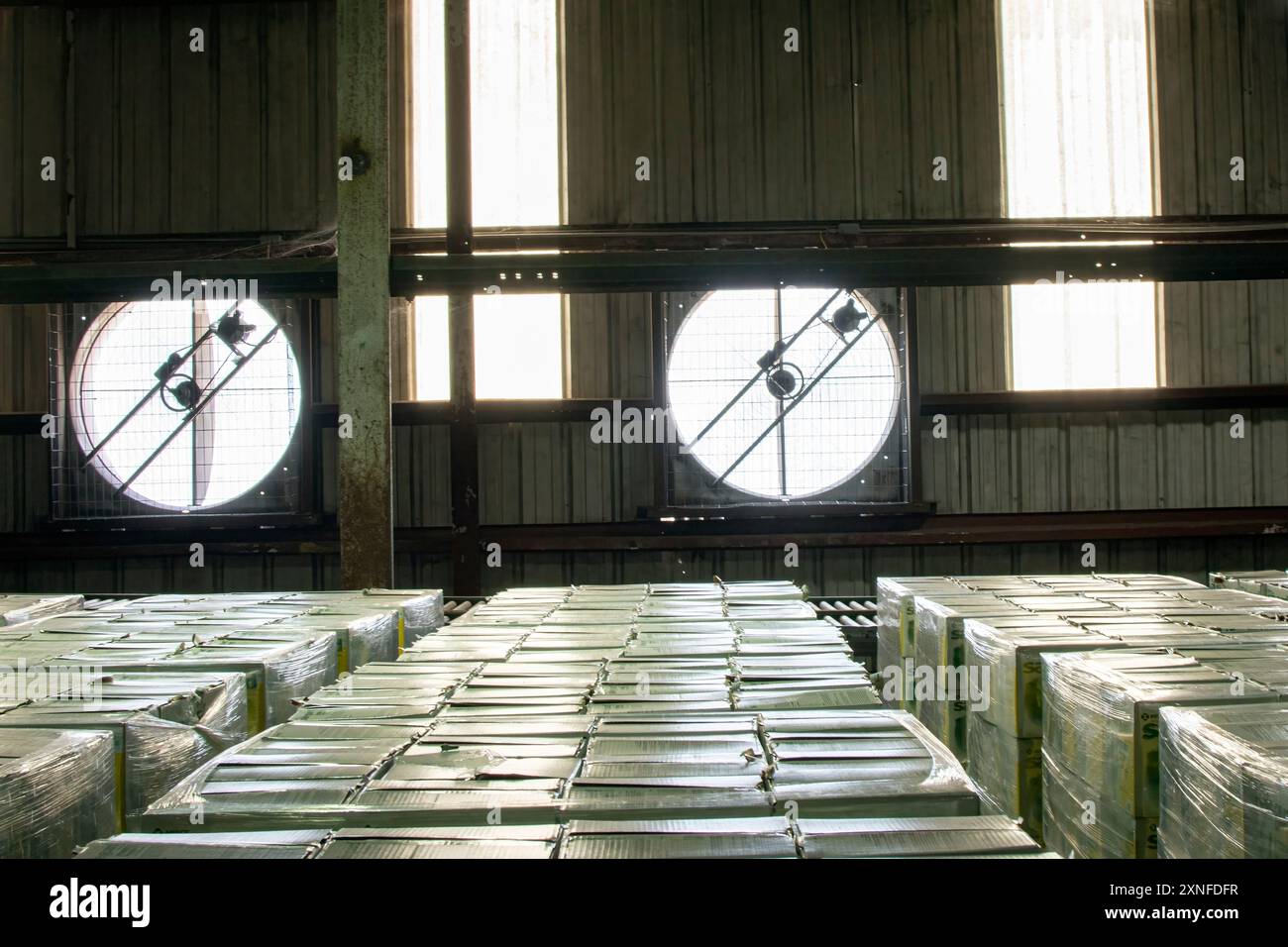 Interior of a animal feed warehouse with shrink-wrapped pallets of ...