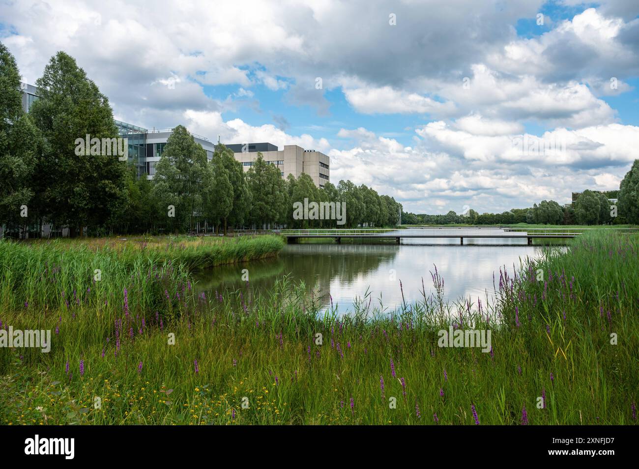 Eindhoven, North Brabant, The Netherlands, July 10, 2024 - Headquarters ...