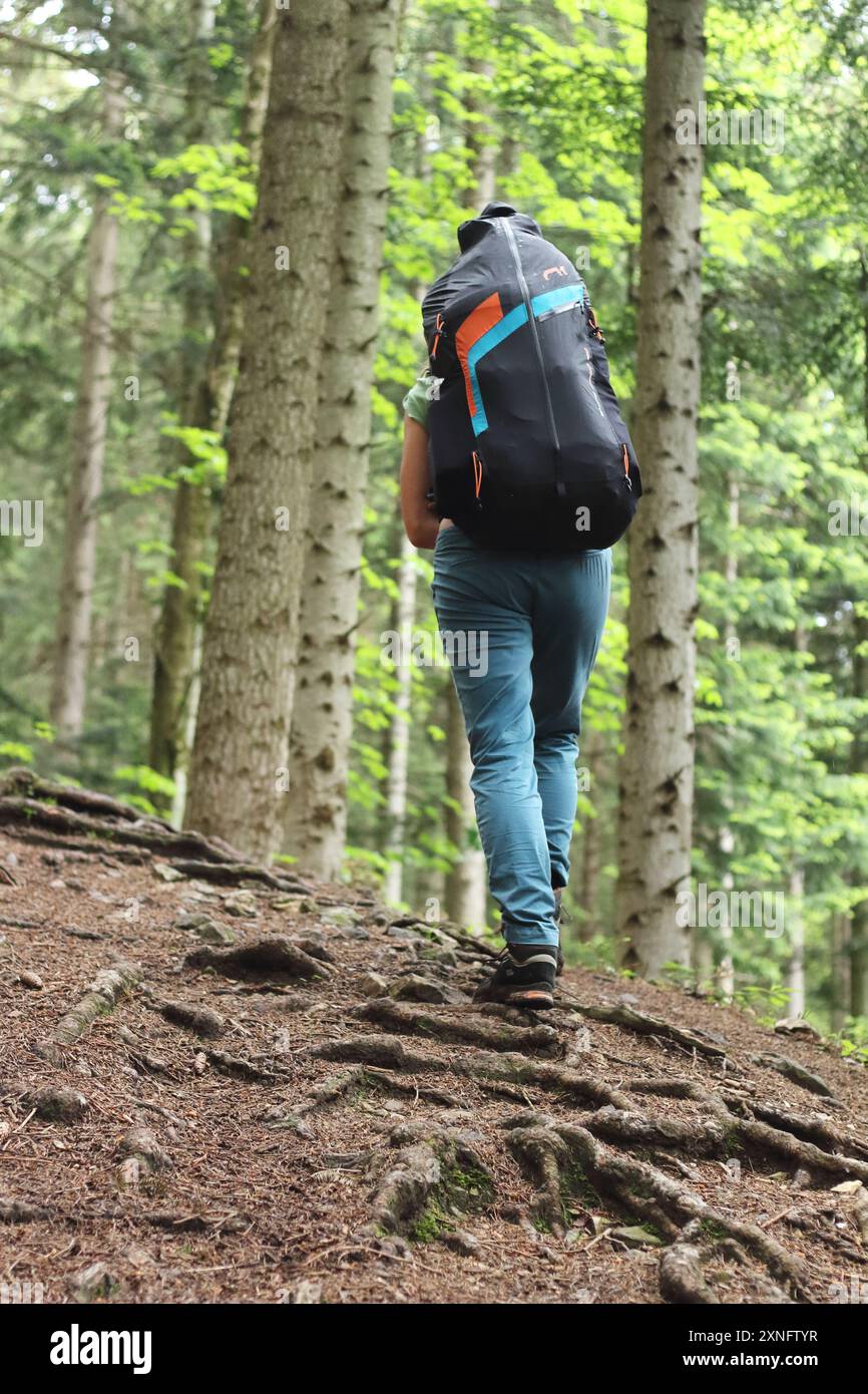 A female hiker ascends a forest trail, carrying paragliding gear on her ...