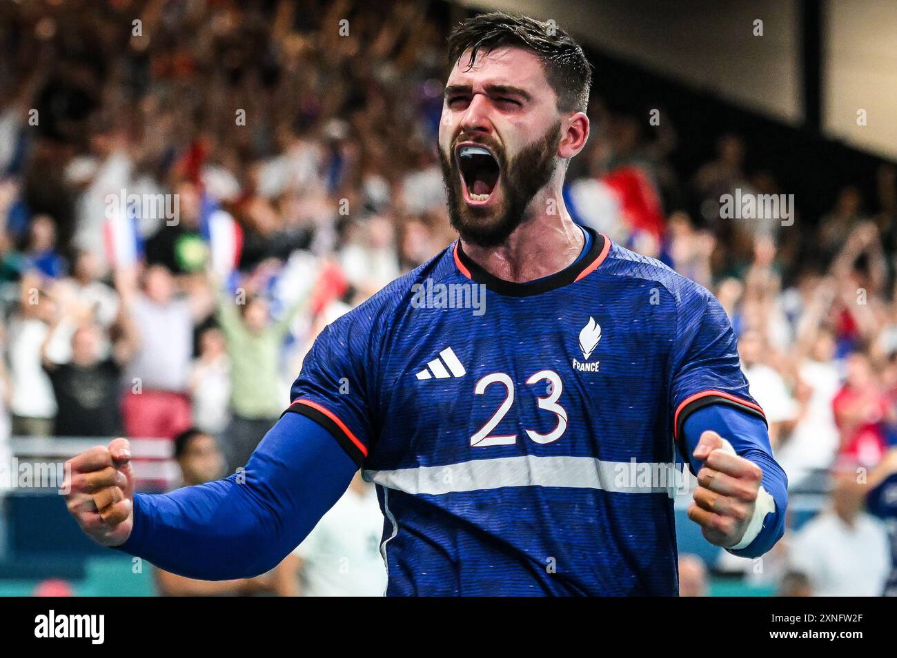 FABREGAS Ludovic of France celebrates during the handball match between ...