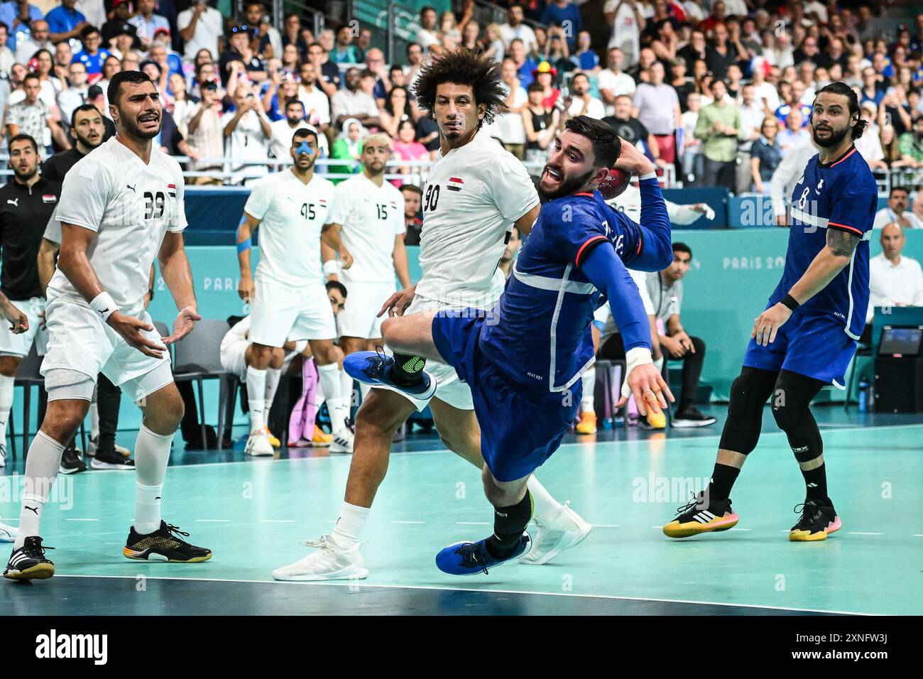 FABREGAS Ludovic of France during the handball match between France and ...