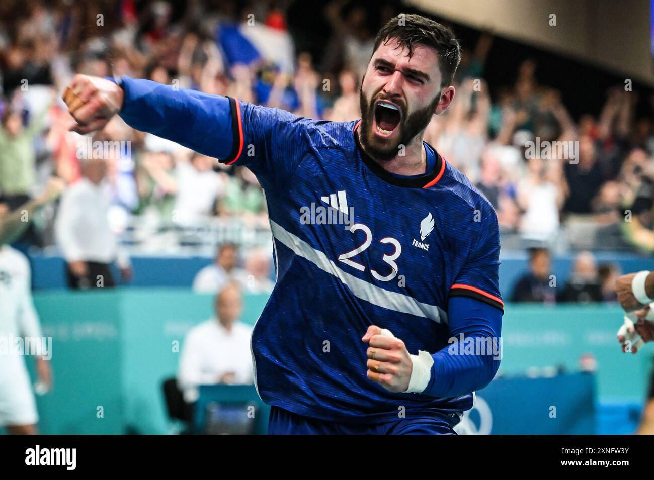 FABREGAS Ludovic of France celebrates during the handball match between ...
