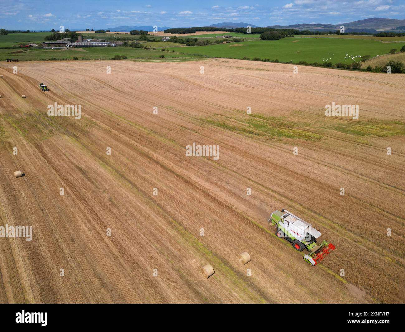 Cutting corn stalks hi-res stock photography and images - Alamy