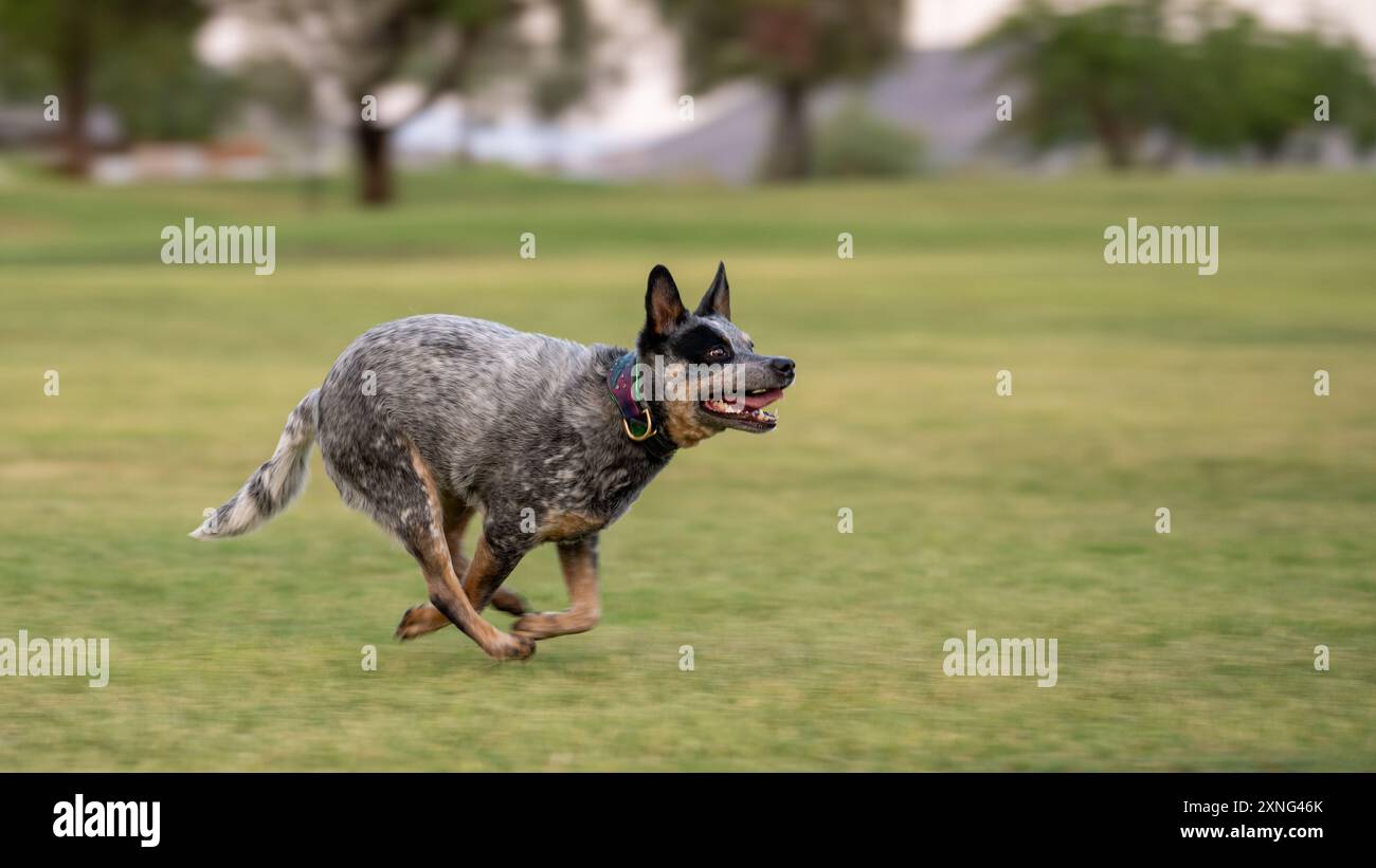 Slower shutter hi-res stock photography and images - Alamy