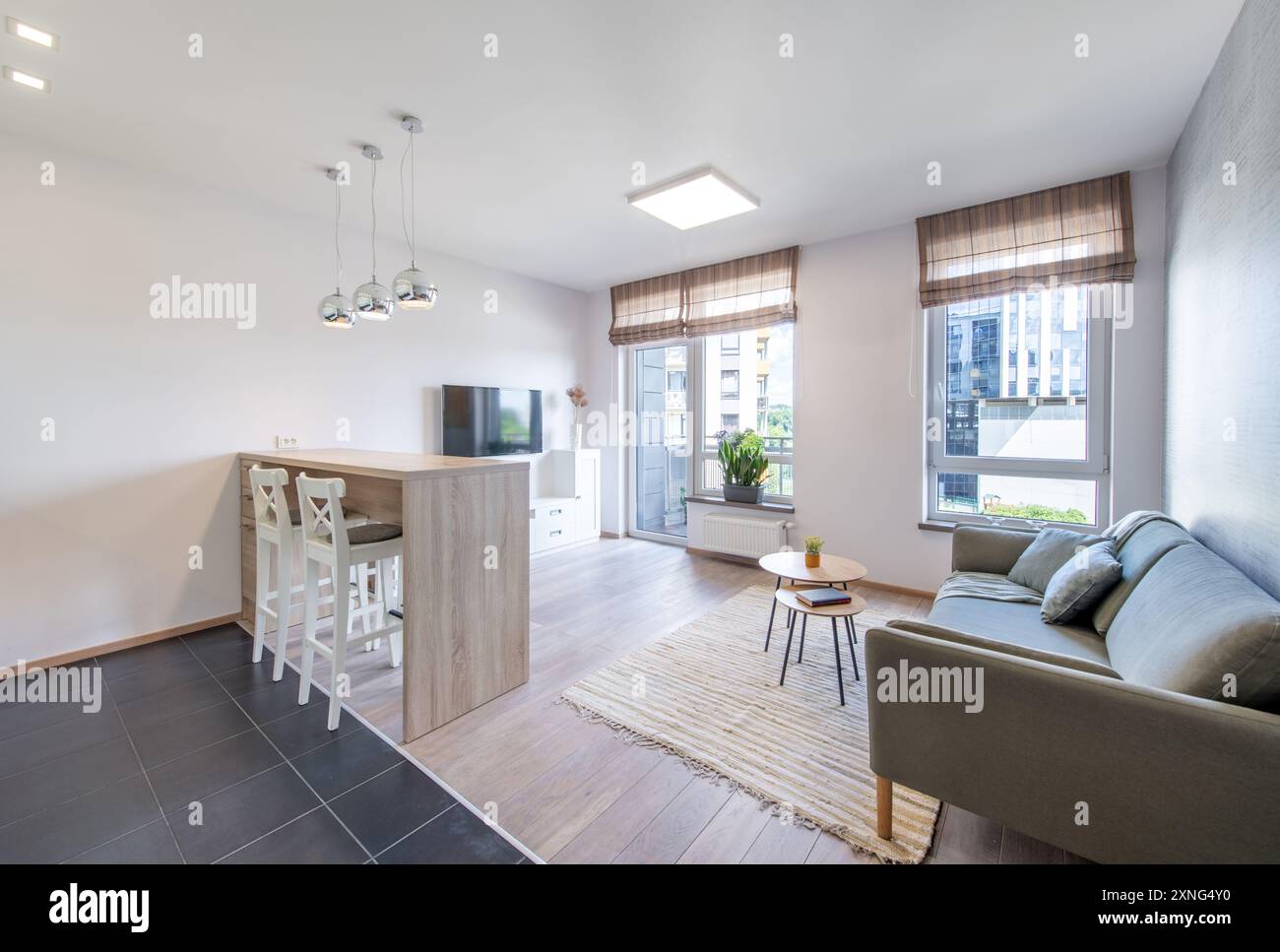 Modern Home Living Room and Kitchen Interior. Luxurious Stylish Modern ...