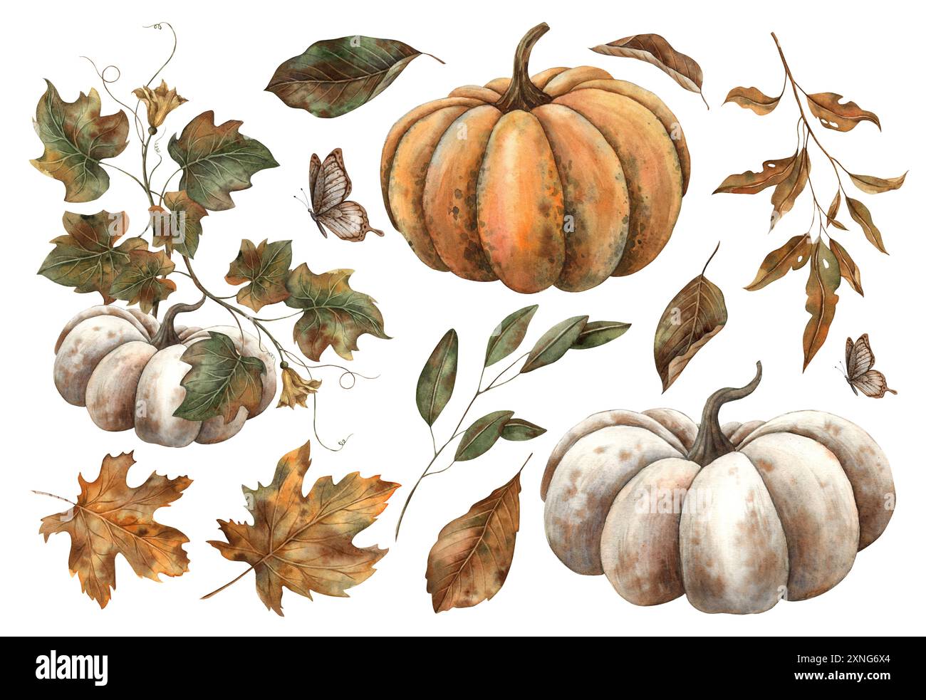 Vintage pumpkin illustration set hi-res stock photography and images ...