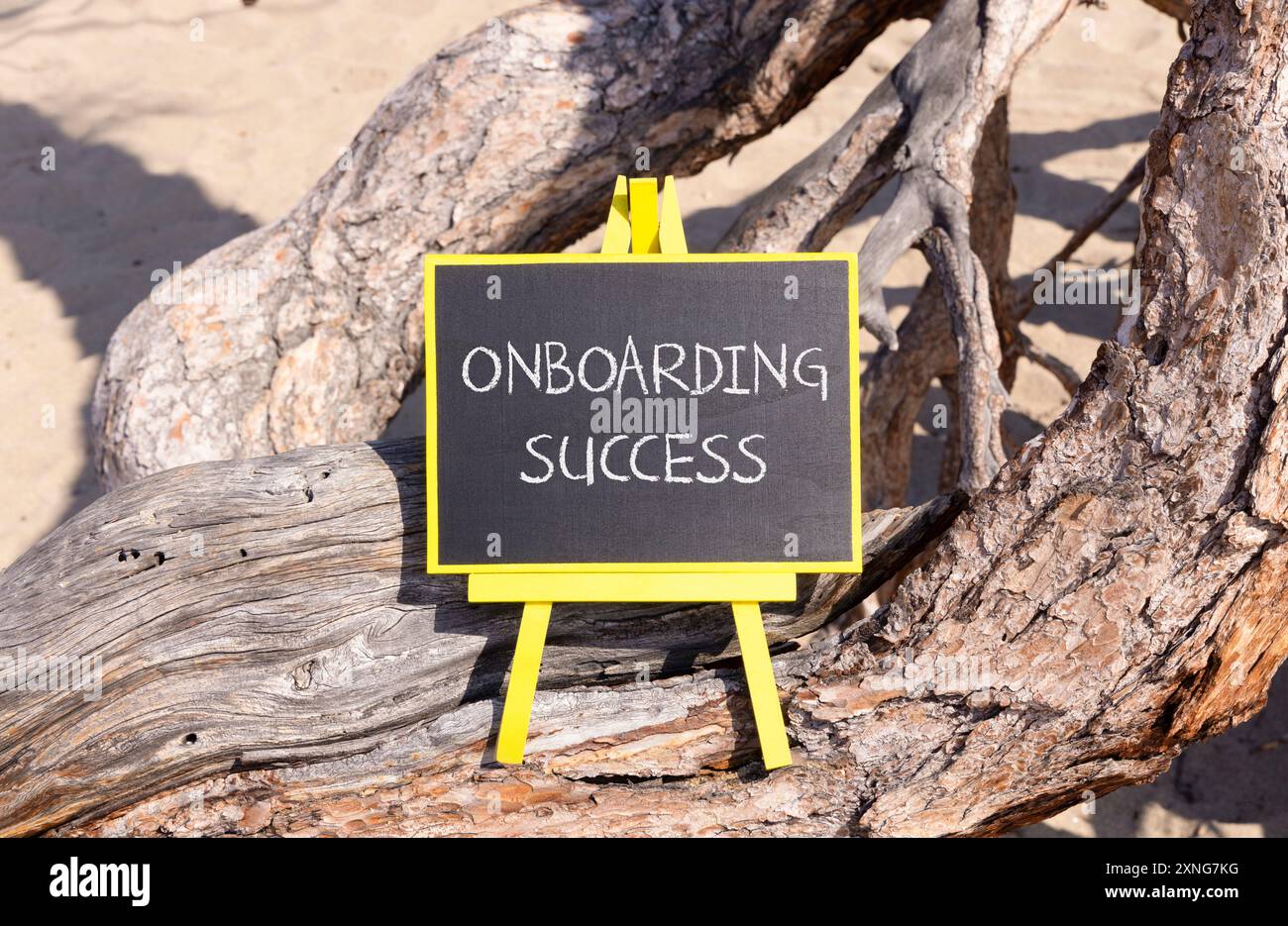 Onboarding success symbol. Concept words Onboarding success on ...